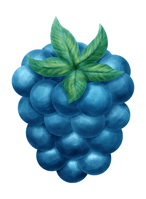 Ocean Blue Lemonade - Calypso Lemonade